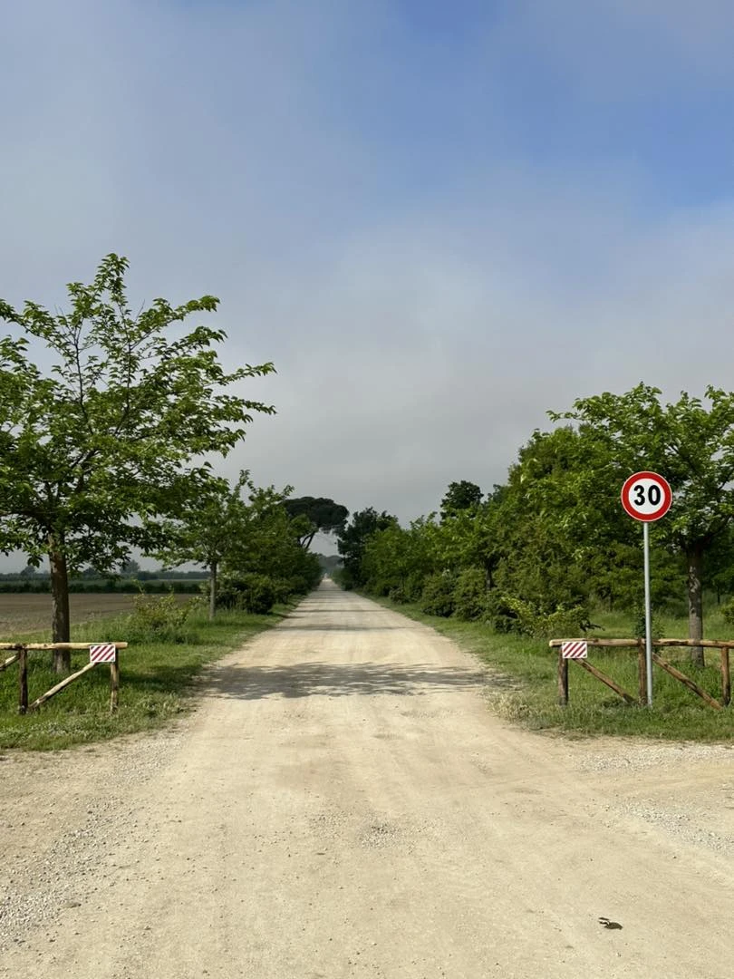 Istituito Un Nuovo Limite Di Velocit Di 30 Km h Allo Stradone Di istituito-un-nuovo-limite-di-velocit-di-30-km-h-allo-stradone-di