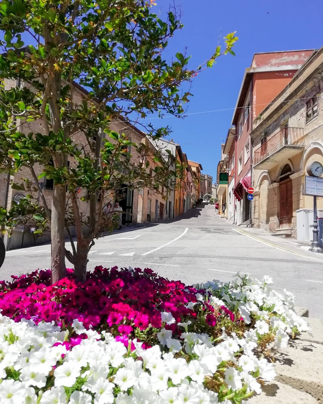 Home | Comune di Mondolfo