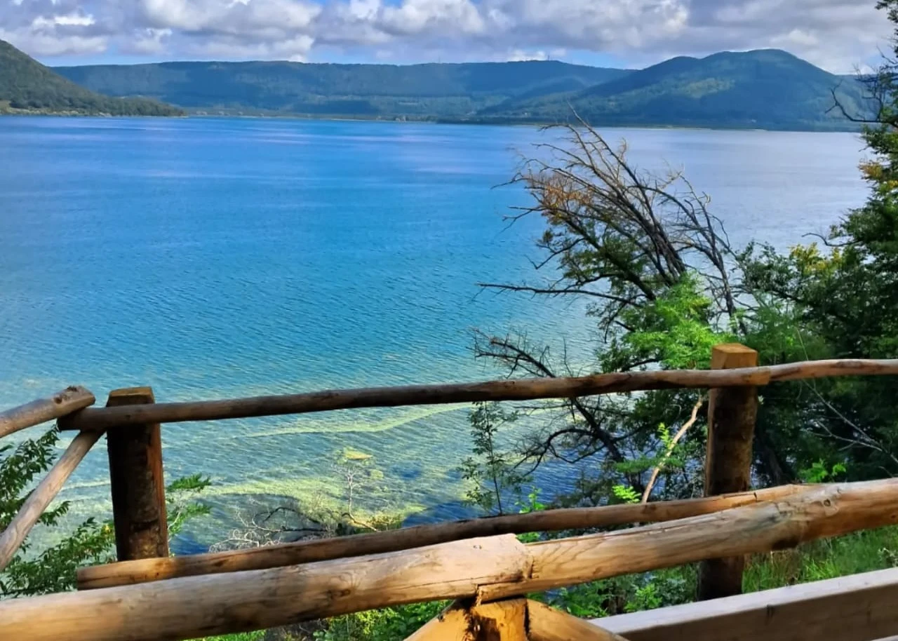 Un percorso immerso nel verde della riserva naturale del lago di Vico ...