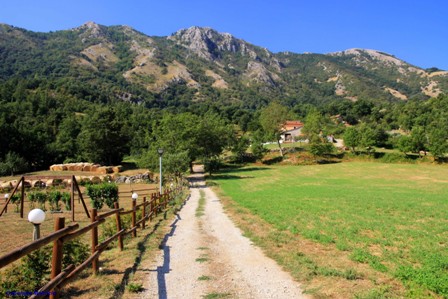 Comune di San Rufo | Comune di San Rufo