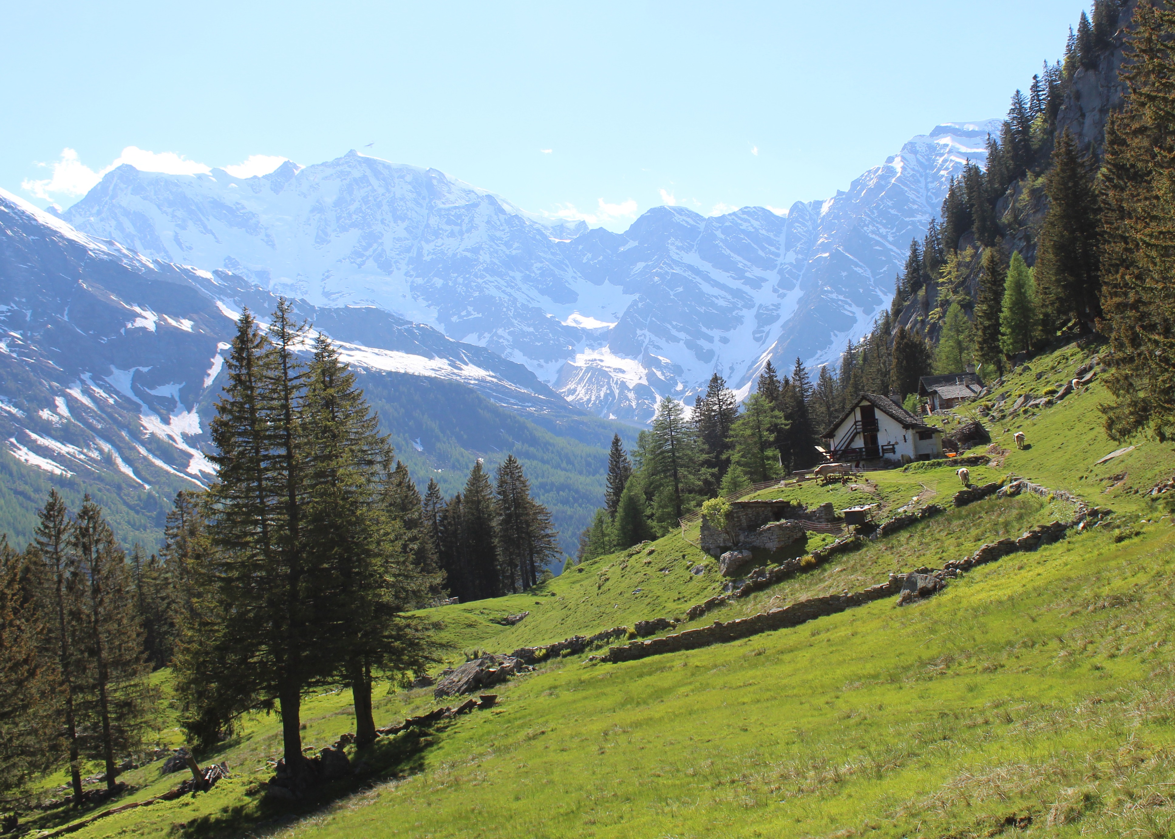 Borca - Alpe Cicerwald 🟢☀ | Macugnaga-Monterosa